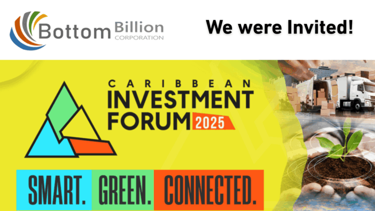 Home - Bottom Billion Corp