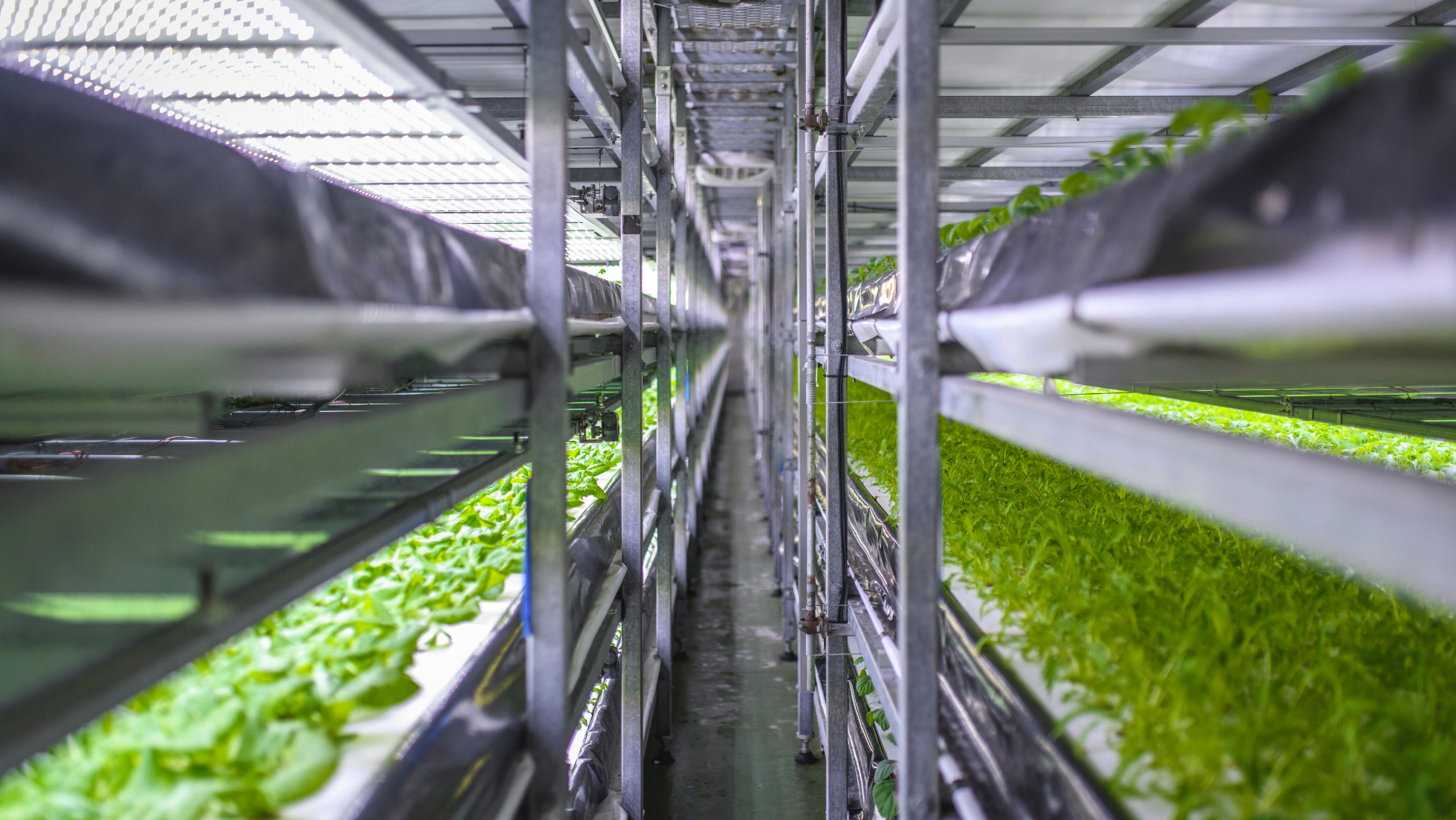 Vertical Integration in Agriculture: A Win-Win for Farmers and ...